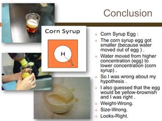 Nicole's Egg Osmosis Experiment | PPTX