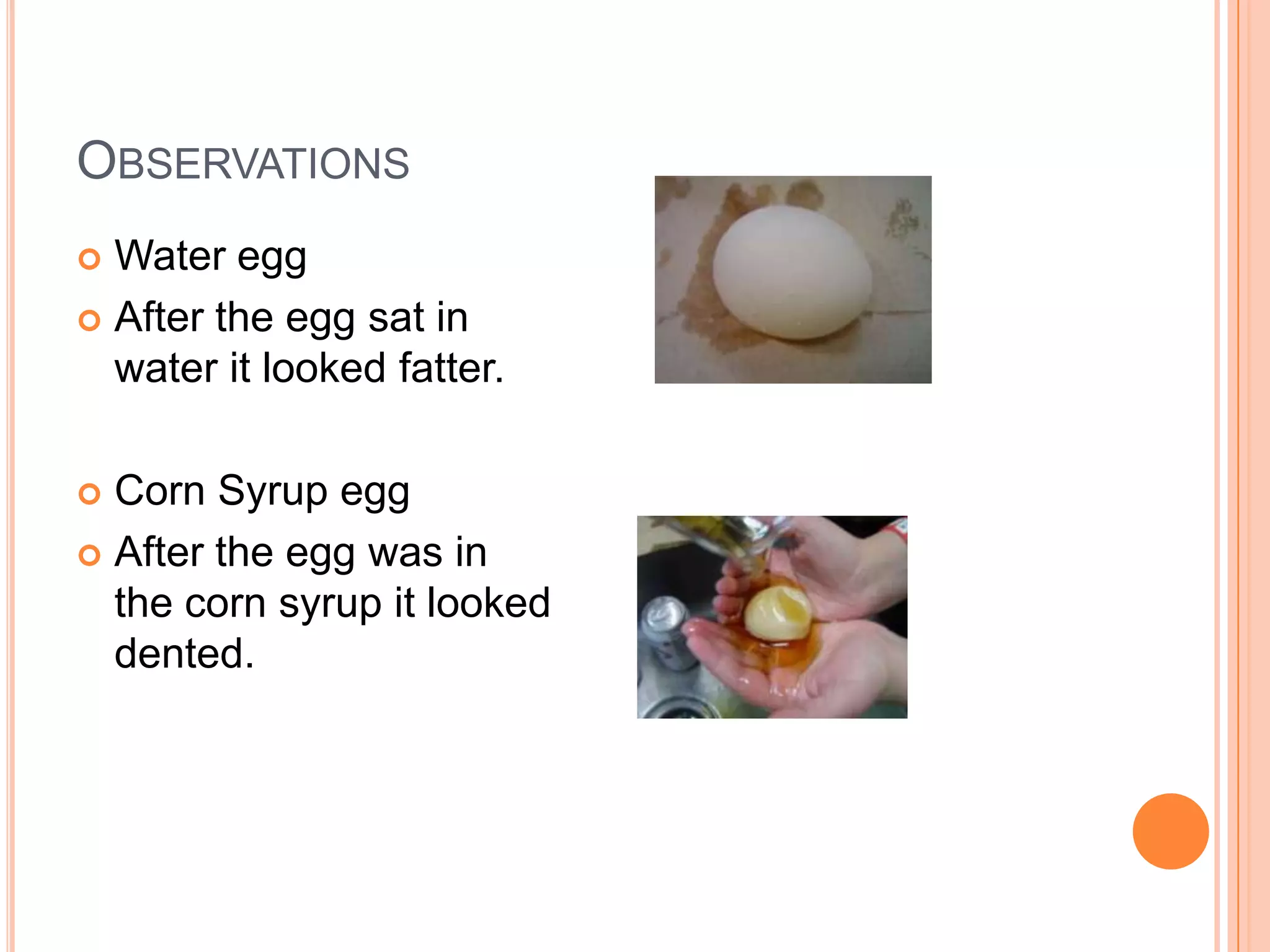 Alexia,Egg osmosis experiment | PPT