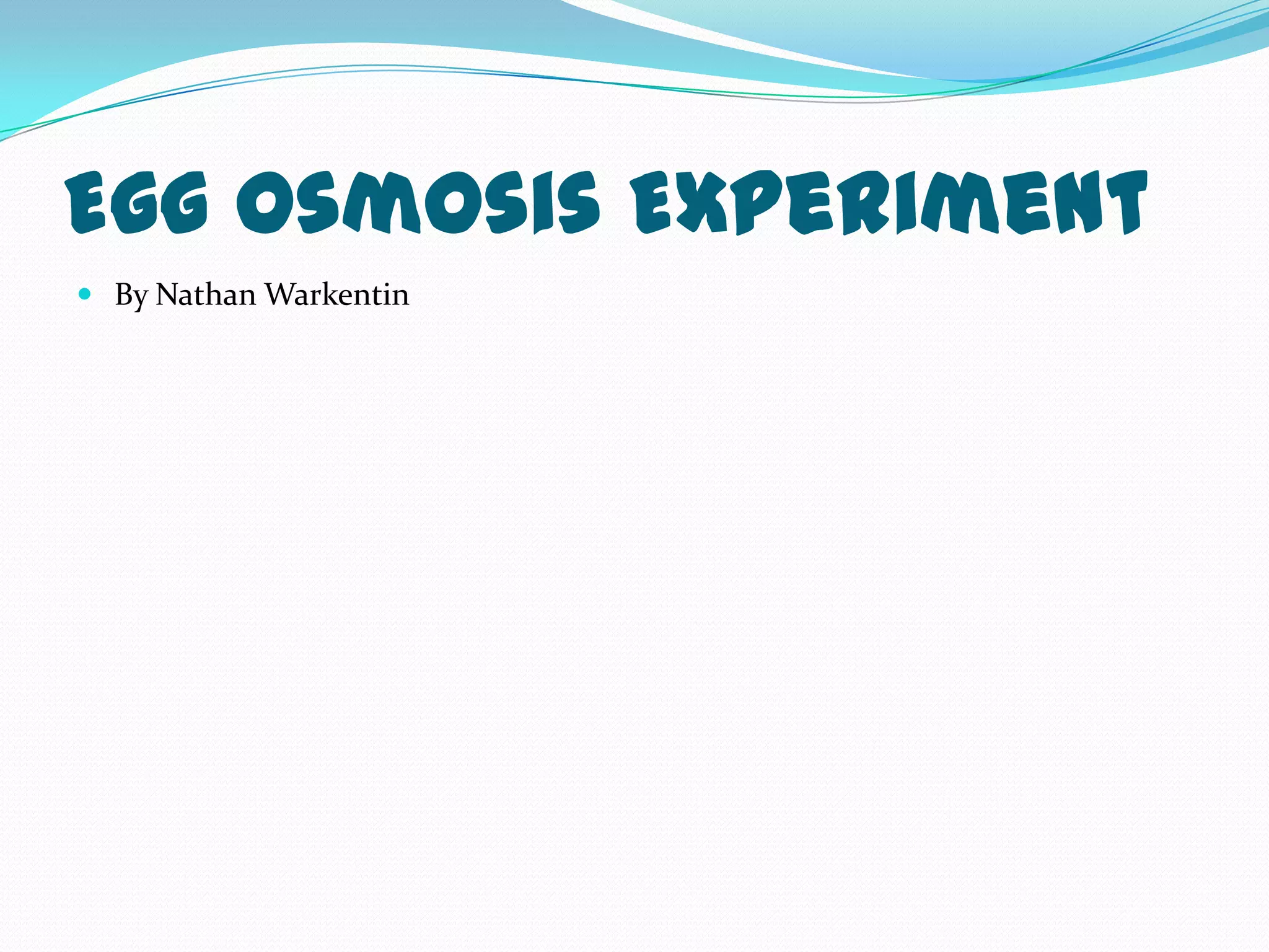 Nathans Egg osmosis experiment | PPTX | Chemistry | Science