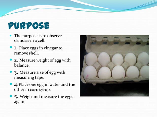Nathans Egg osmosis experiment | PPTX | Chemistry | Science