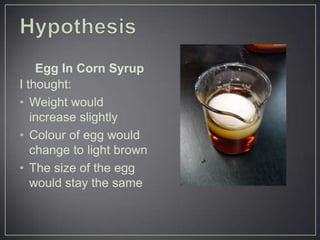 Samantha's Egg osmosis experiment | PPTX