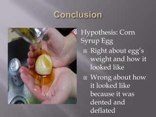 Norien's Egg Osmosis Experiment | PPTX