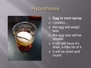 Norien's Egg Osmosis Experiment | PPT