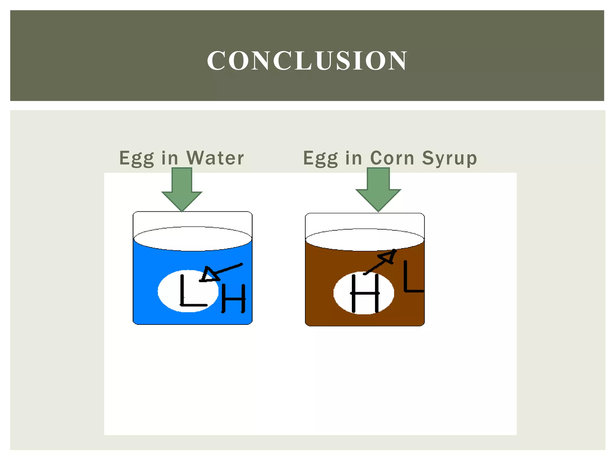 Isabel's Egg osmosis experiment | PPTX | Chemistry | Science
