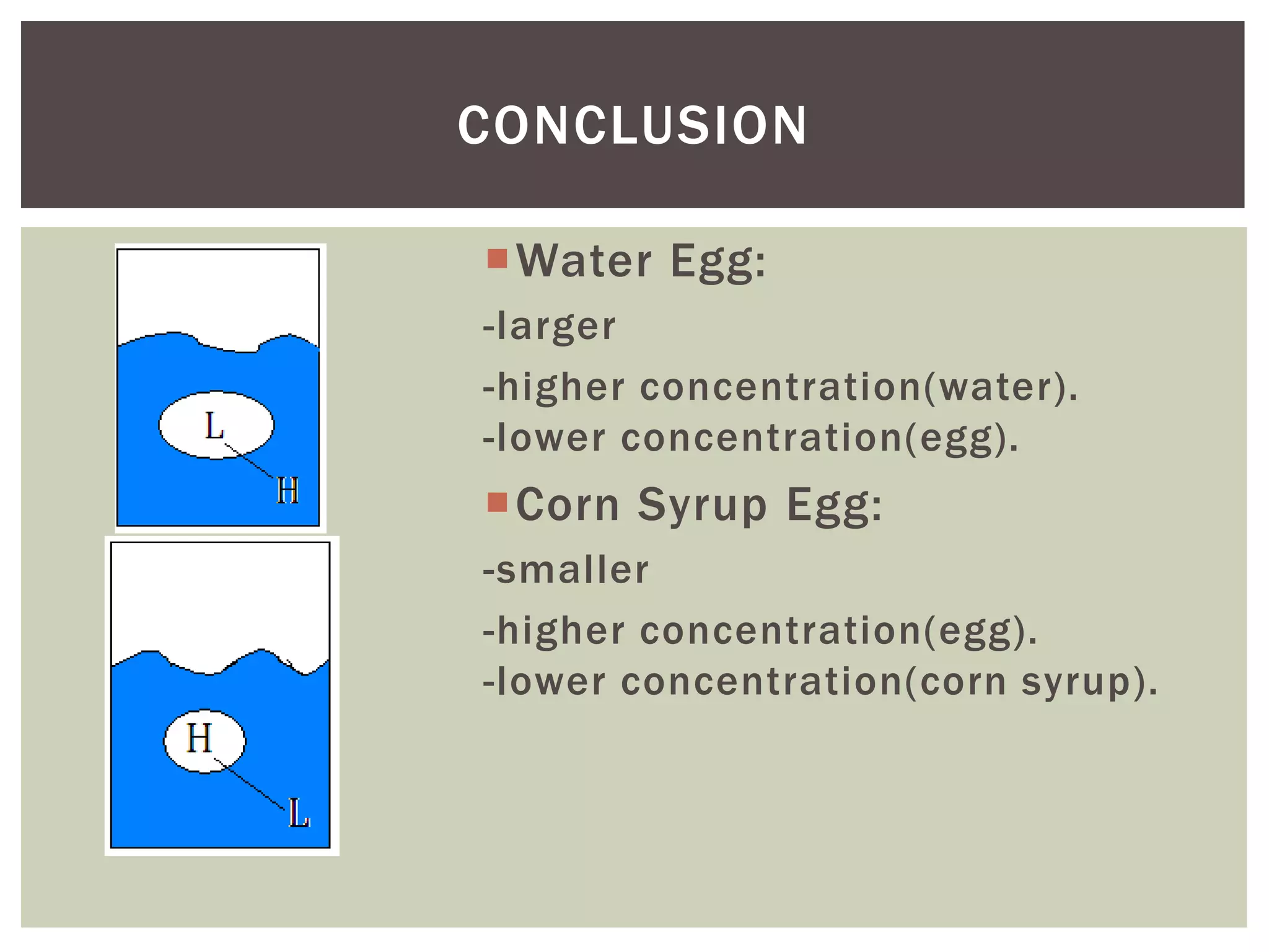 Joy's Egg osmosis experiment | PPTX