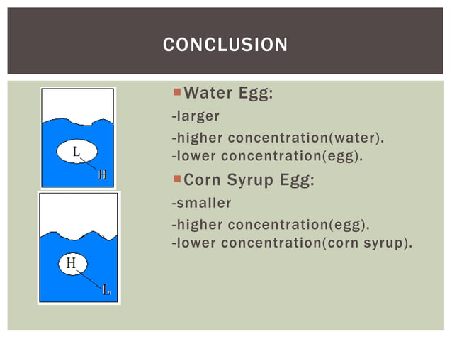 Joy's Egg osmosis experiment | PPT