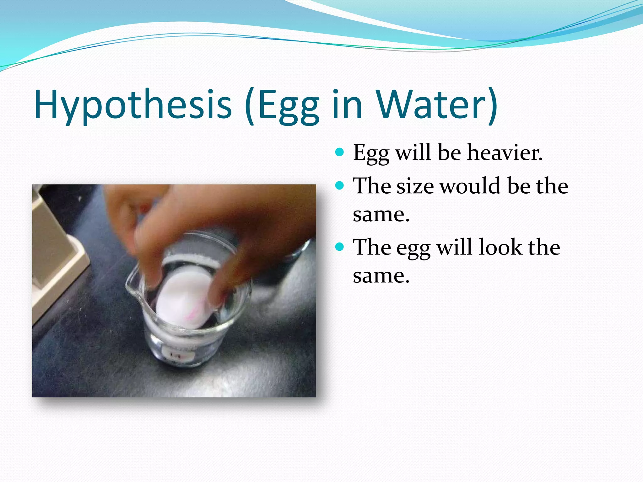 Marlo's Egg osmosis experiment | PPTX