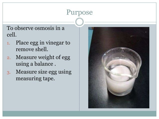 Joanna Egg osmosis experiment | PPTX | Chemistry | Science