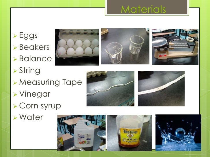 Osmosis Egg Experiment Salt Water