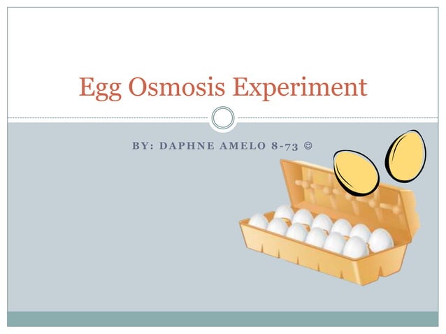daphne's egg osmosis experiment | PPTX | Chemistry | Science