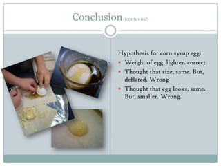 daphne's egg osmosis experiment | PPTX