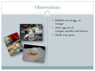 daphne's egg osmosis experiment | PPTX