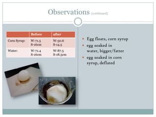 daphne's egg osmosis experiment | PPTX