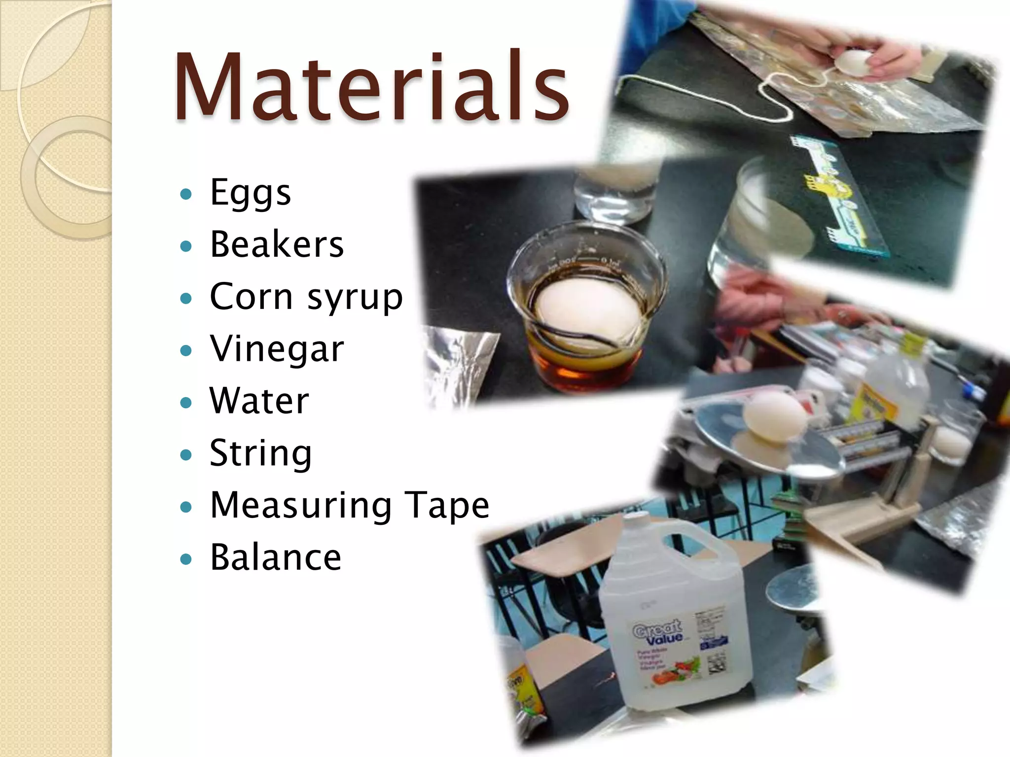 Sarissa Lloyd 8-16 Egg osmosis experiment powerpoint | PPTX