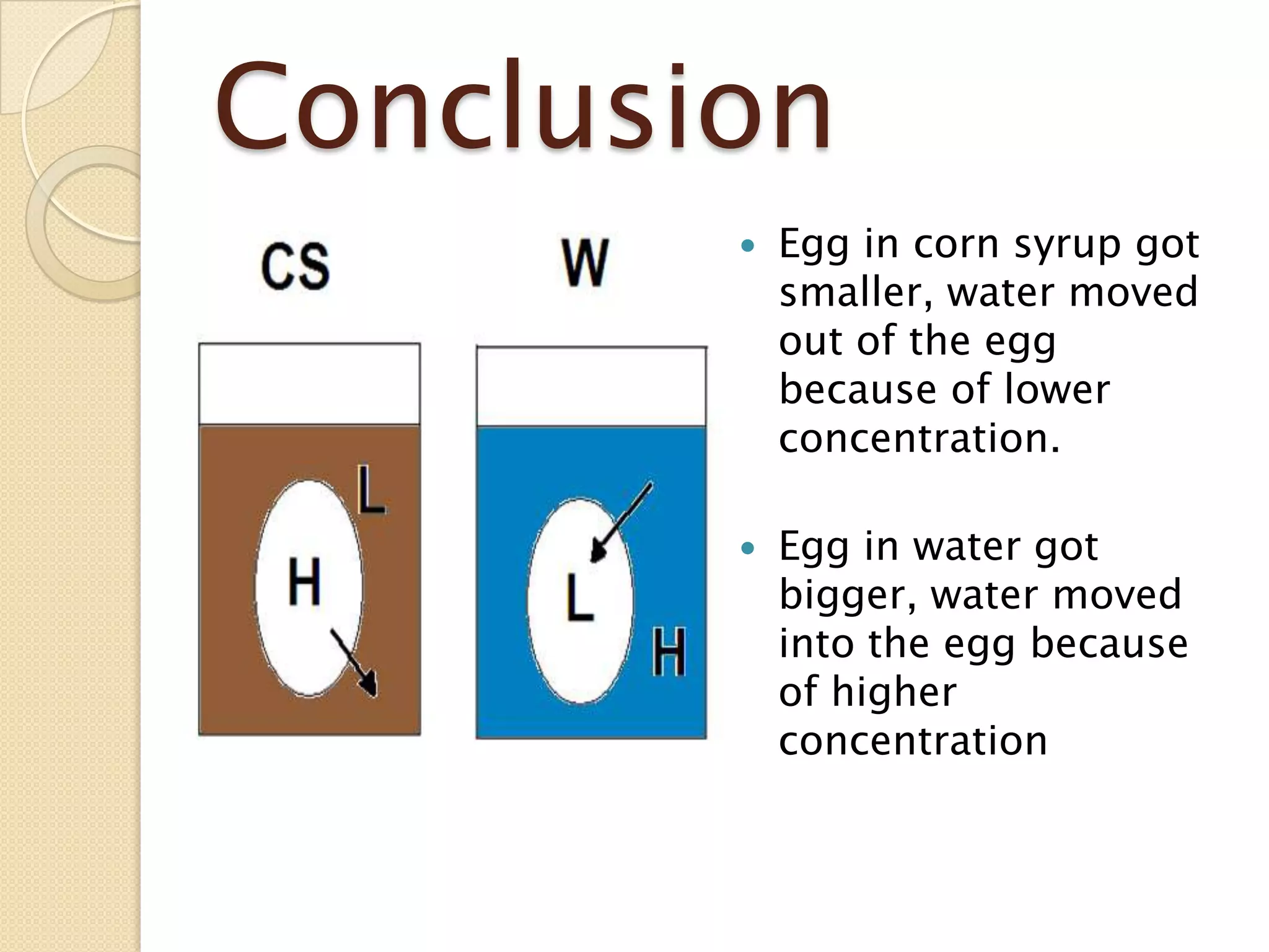 Sarissa Lloyd 8-16 Egg osmosis experiment powerpoint | PPTX