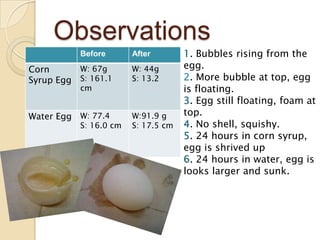 Sarissa Lloyd 8-16 Egg osmosis experiment powerpoint | PPTX