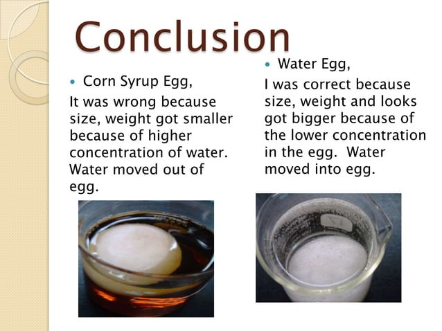 Sarissa Lloyd 8-16 Egg osmosis experiment powerpoint | PPTX