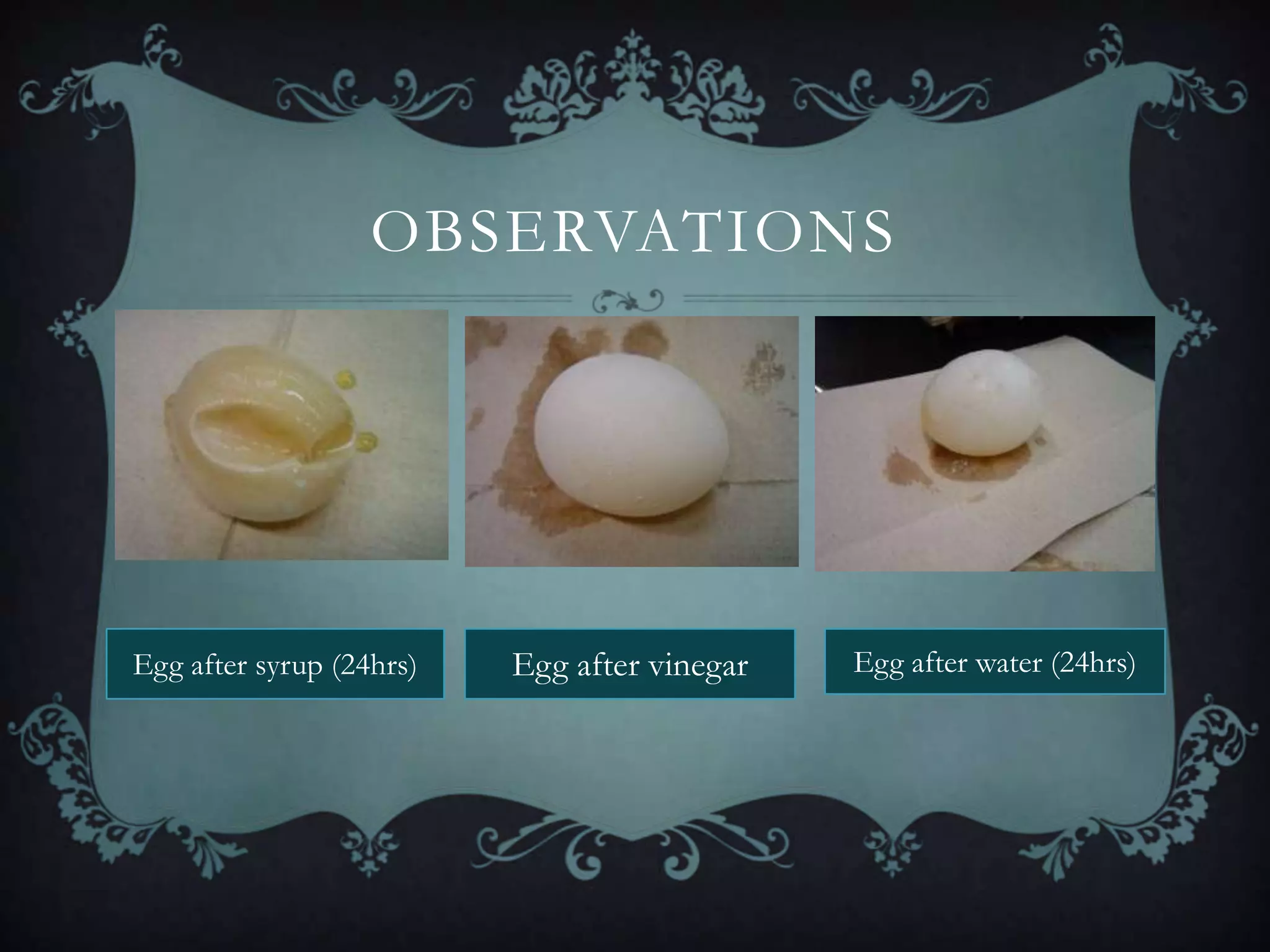 Serena Egg osmosis experiment | PPTX