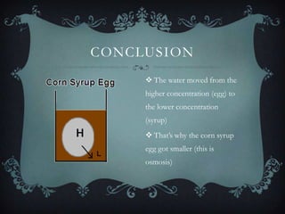 Serena Egg osmosis experiment | PPTX