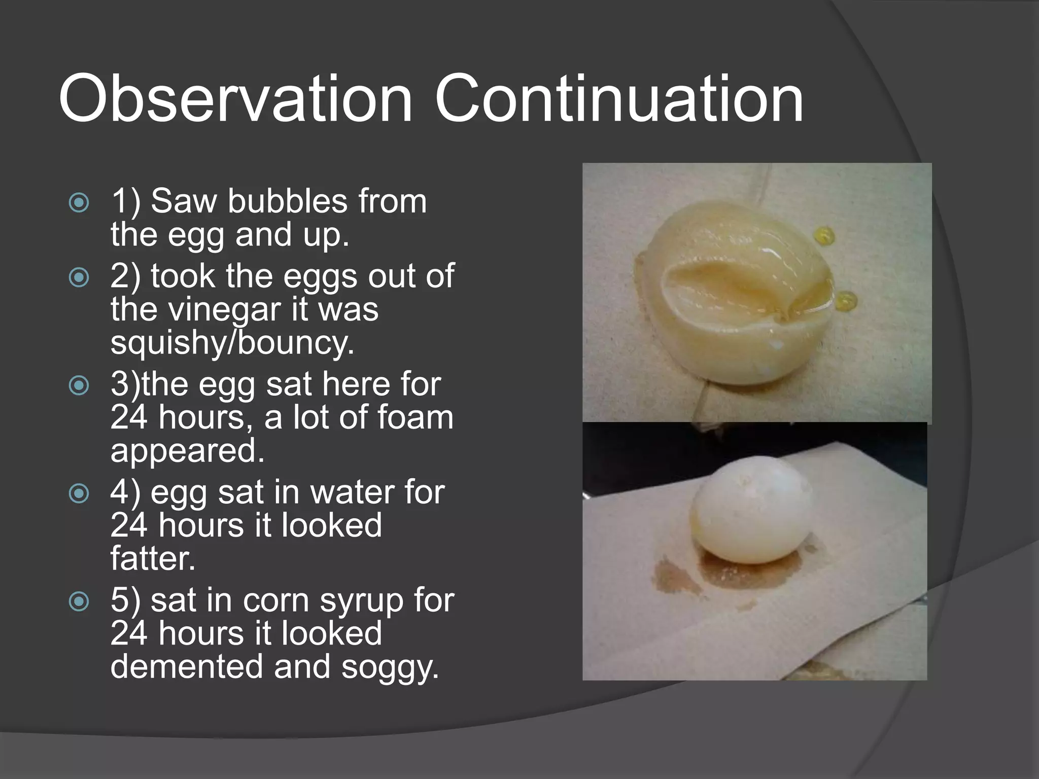 Angelika Egg Osmosis | PPT