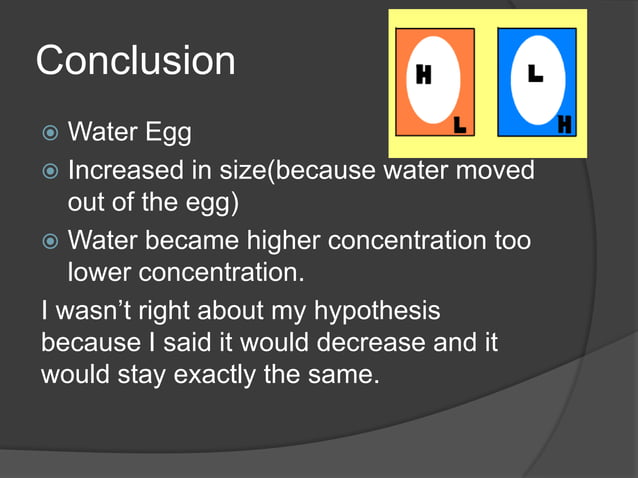 Angelika Egg Osmosis | PPT