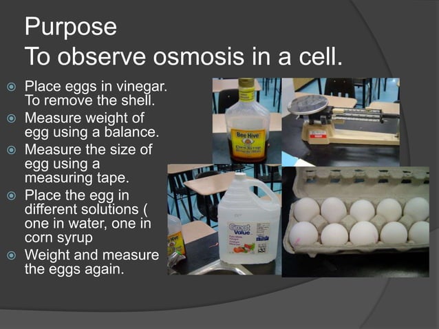 Angelika Egg Osmosis | PPTX