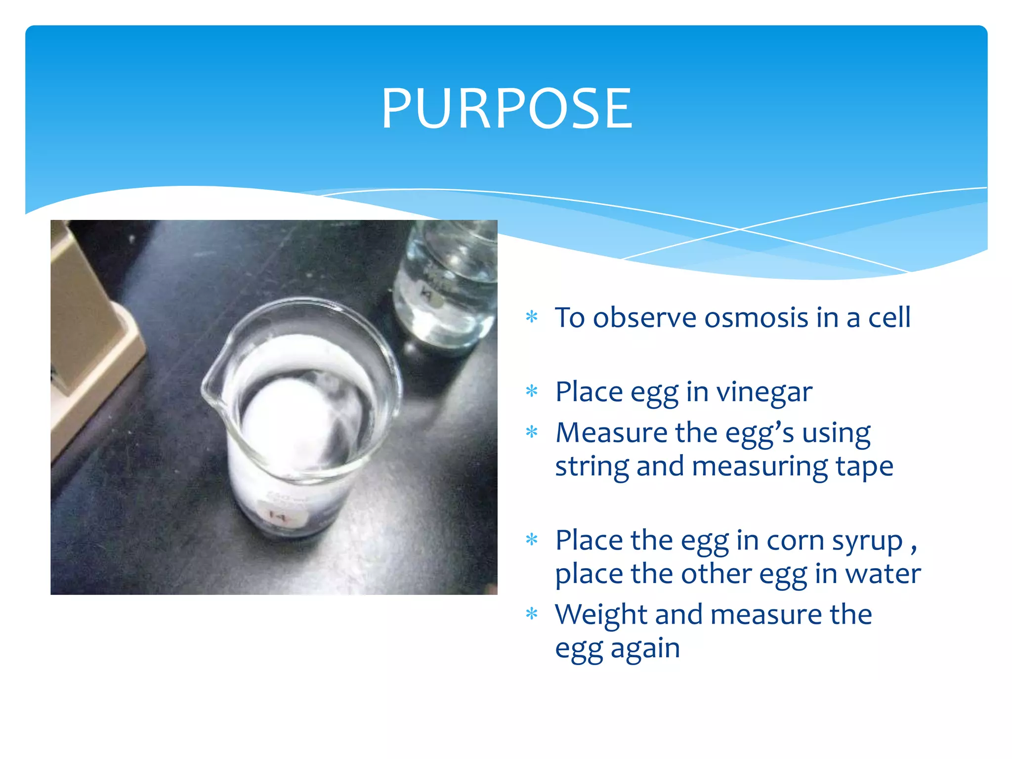 Egg osmosis project | PPT