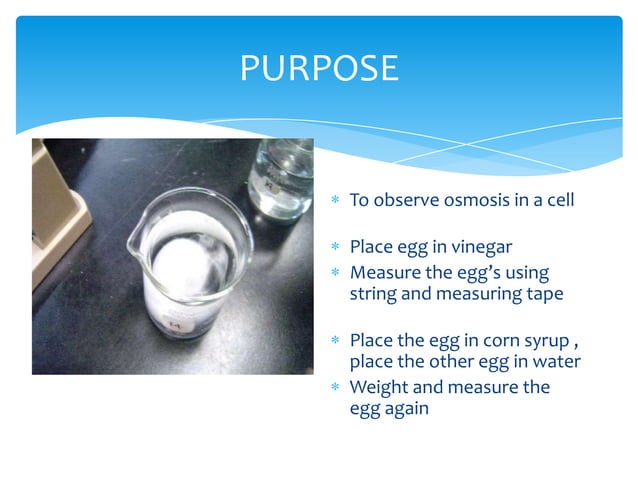 Egg osmosis project | PPT