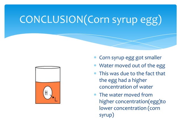 Egg osmosis project | PPT
