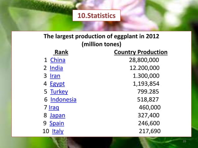 Eggplant production overview by Reja | PPTX | Agriculture | Industries