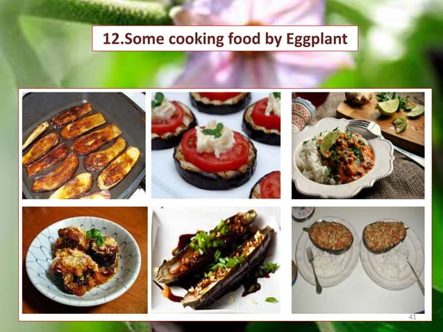 Eggplant production overview by Reja | PPTX | Agriculture | Industries