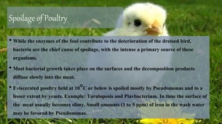 Egg & poultry | PPTX