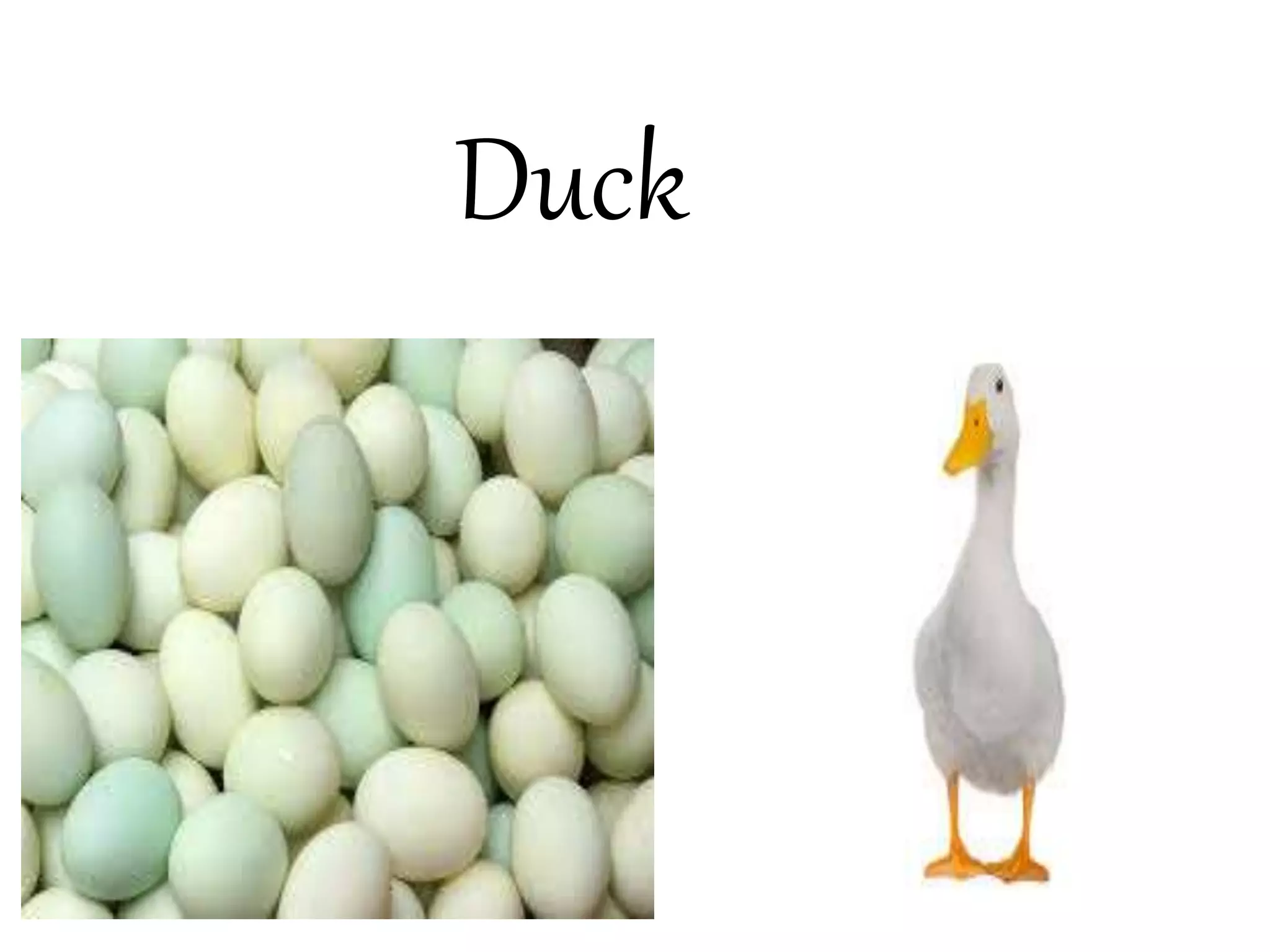 Egg preparations ( food production ) | PPTX