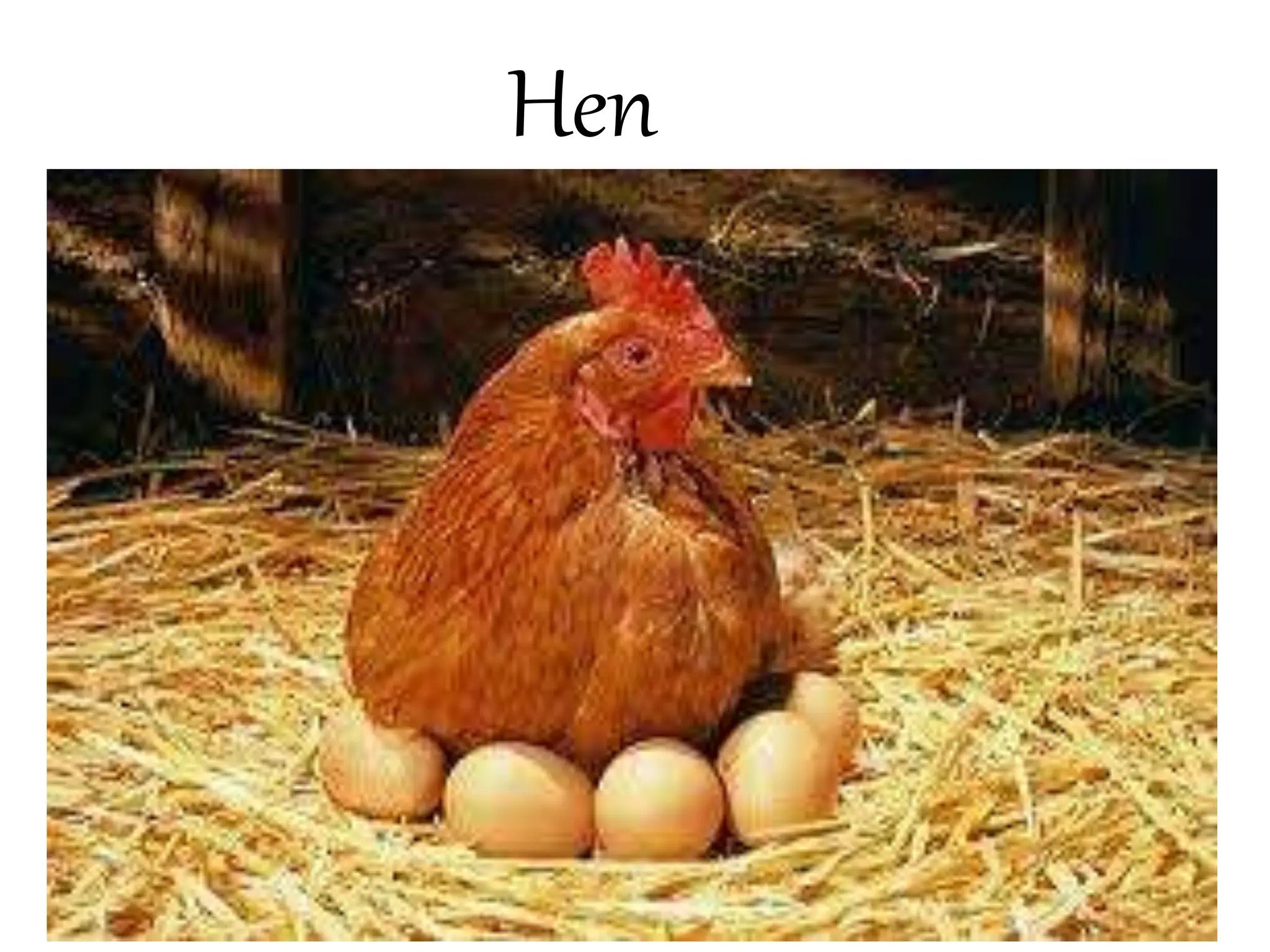 Egg preparations ( food production ) | PPTX