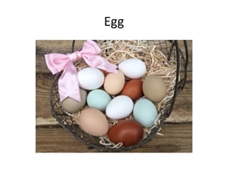 Egg processing.pptx