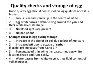 Egg processing.pptx