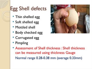 Qualities of egg (internal and External) | PPT