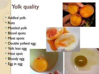 Qualities of egg (internal and External) | PPTX