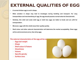 Qualities of egg (internal and External) | PPTX