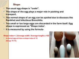 Qualities of egg (internal and External) | PPTX