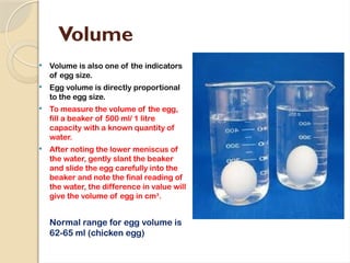 Qualities of egg (internal and External) | PPT