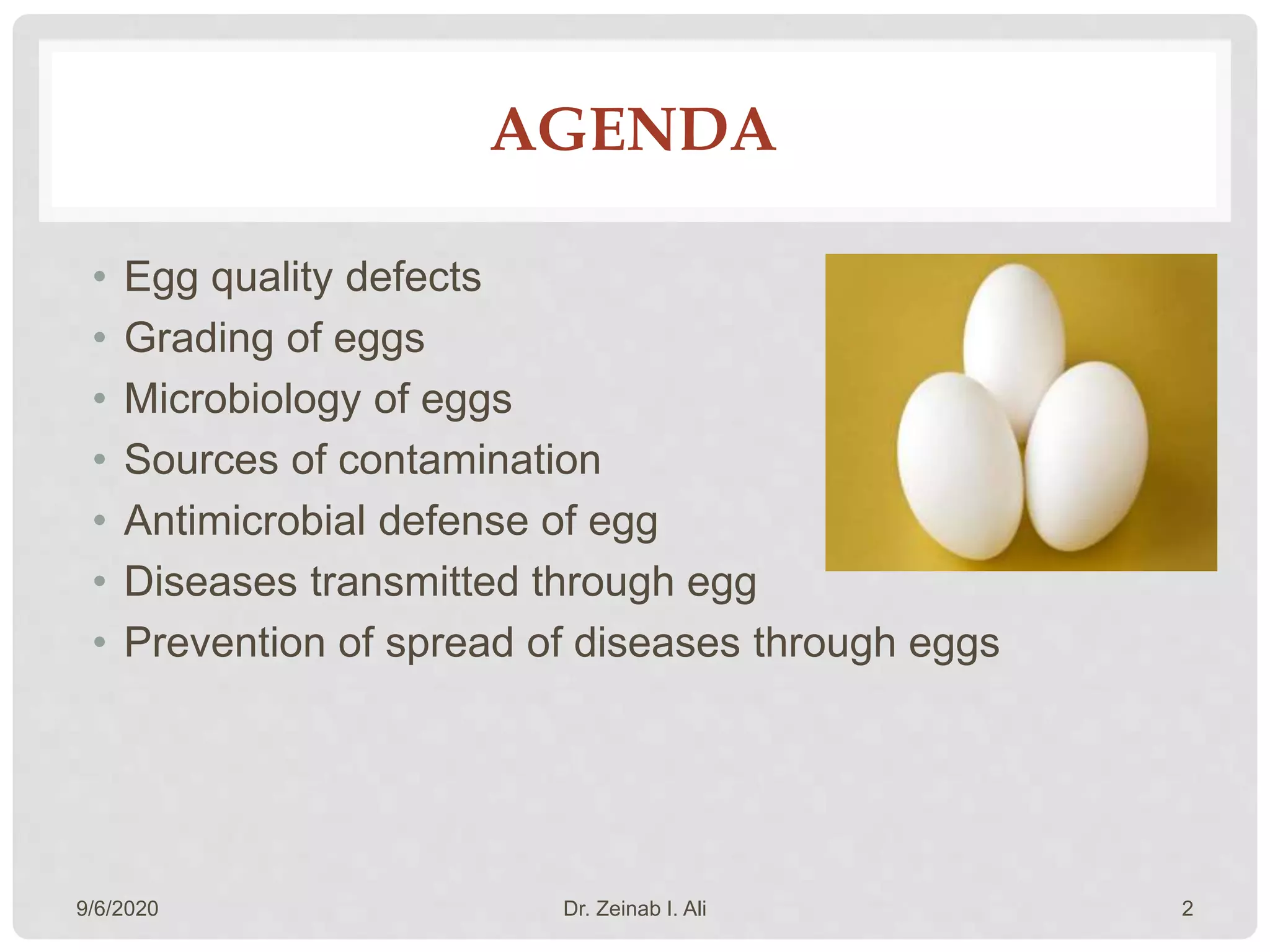 Egg quality defects | PPTX