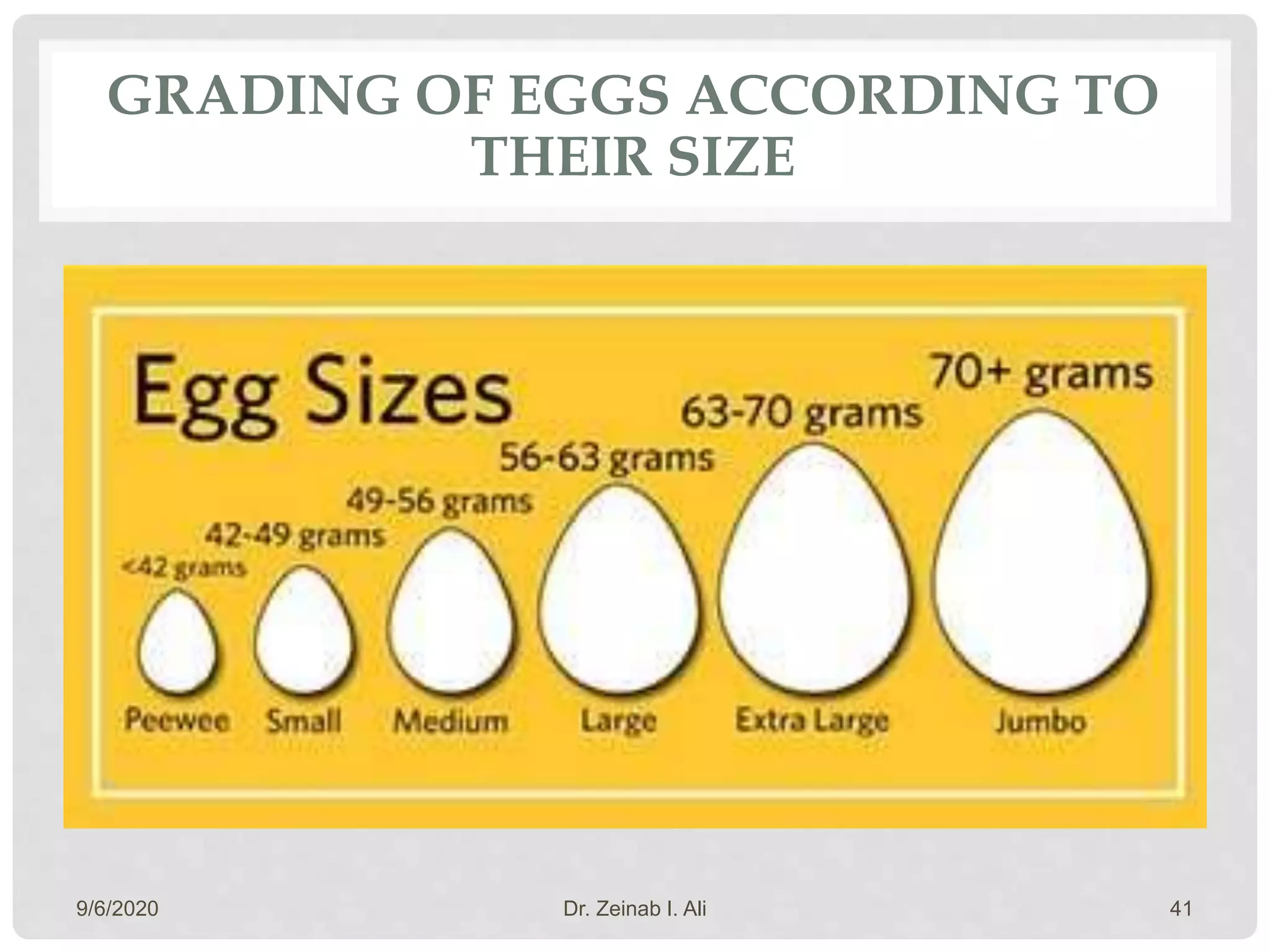 Egg quality defects | PPTX