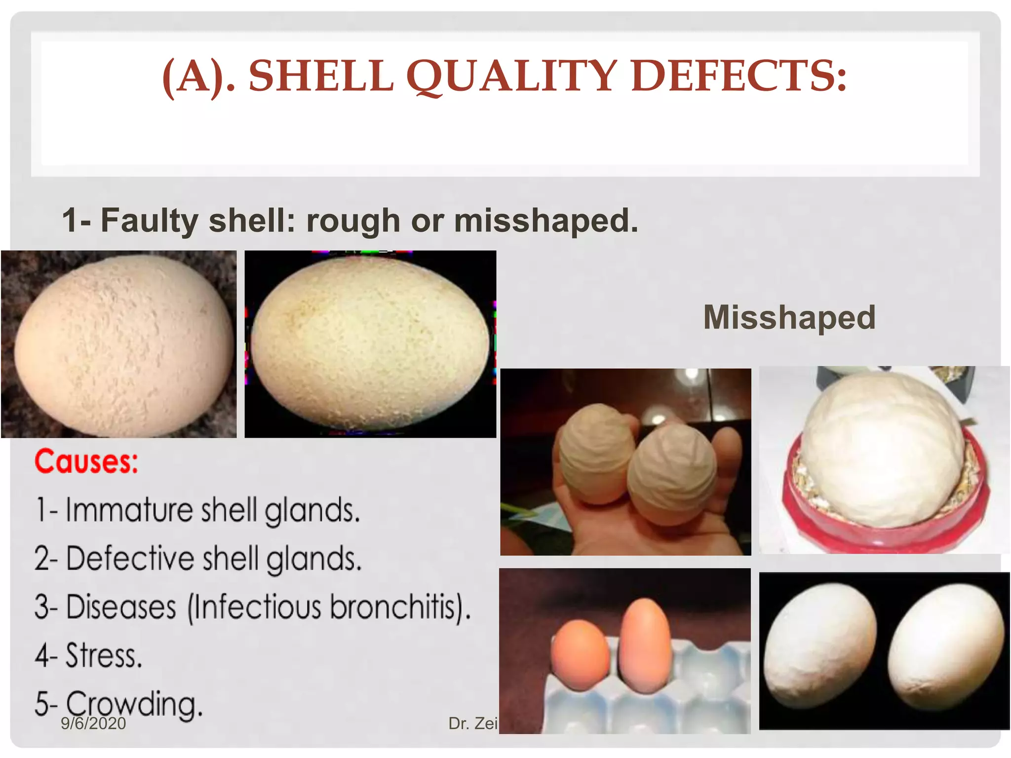Egg quality defects | PPTX