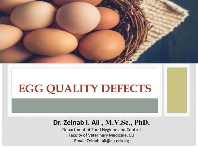 Egg quality defects | PPTX