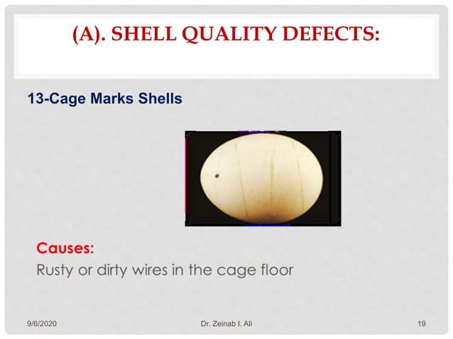 Egg quality defects | PPTX
