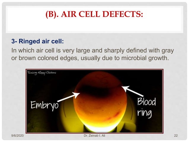 Egg quality defects | PPTX