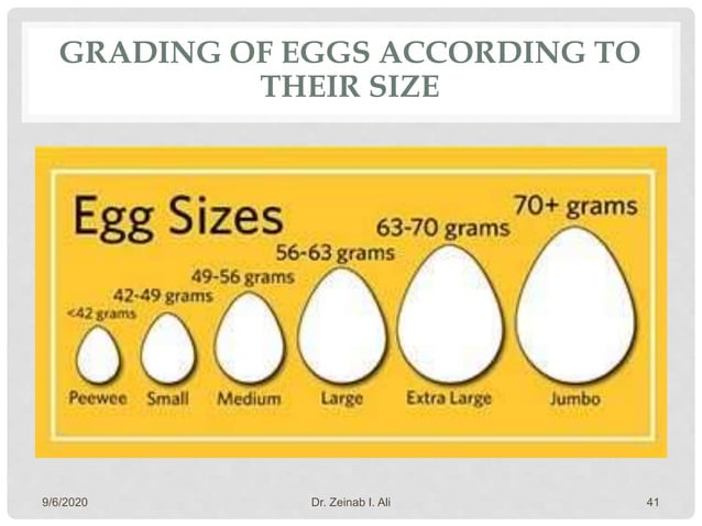 Egg quality defects | PPTX