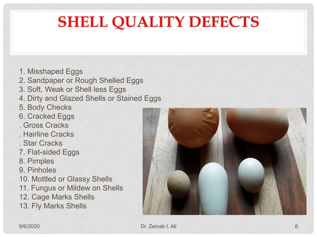 Egg quality defects | PPTX