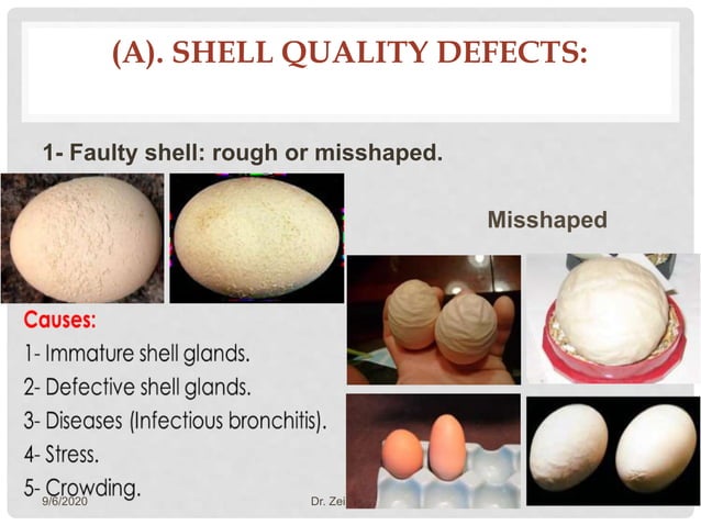 Egg quality defects | PPTX